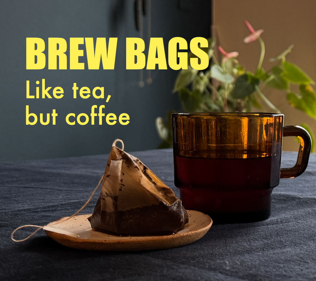 Single-Serve Brew-Bags! (box/bag) – Chula Cafe